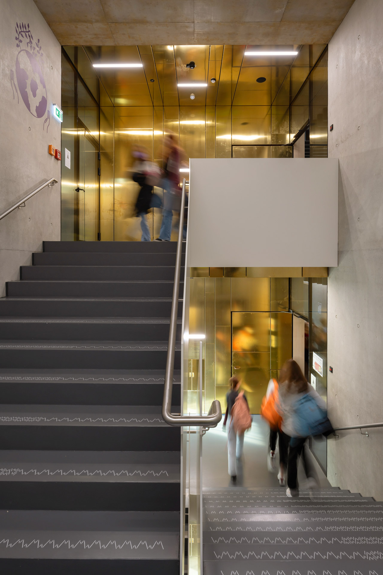 Maria-Ward-Schule, Nürnberg - Linus Lintner Architekturfotografie